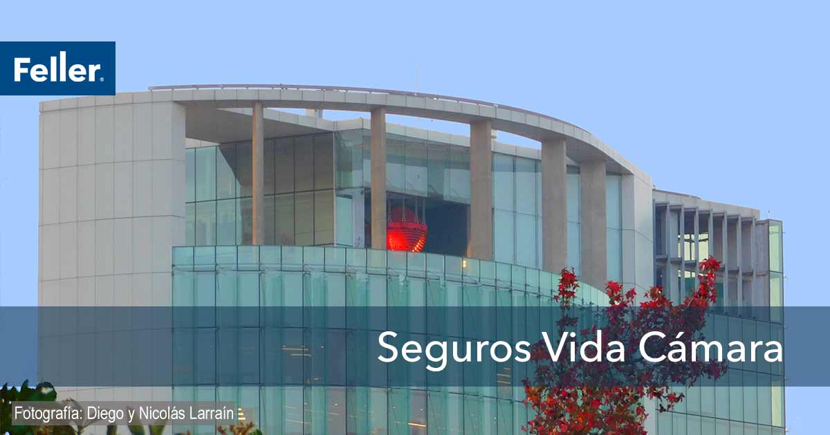 Compañía de Seguros de Vida Cámara S.A.