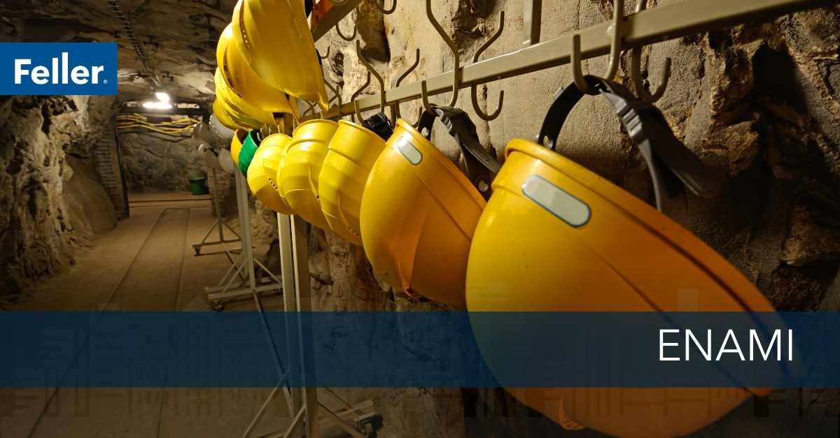 Empresa Nacional de Minería