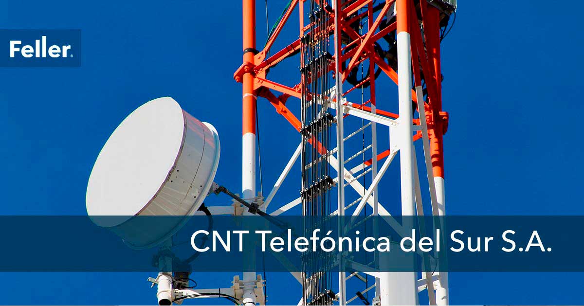 Compañía Nacional de Teléfonos, Telefónica del Sur S.A.